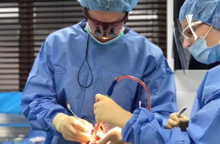 Using EthOss for Socket Preservation and Immediate Implant Placements ...